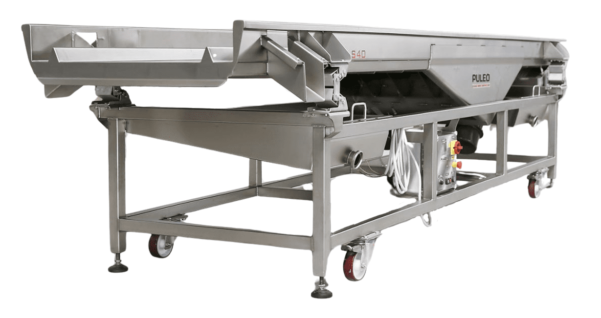 Grape Sorting Vibe Table - Carlsen & Associates
